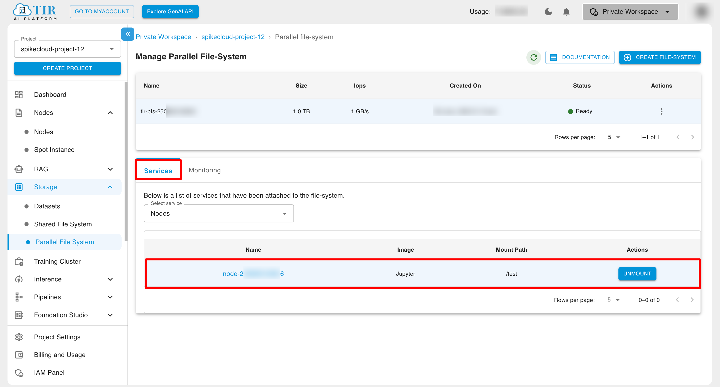 Parallel File-System | E2E Cloud