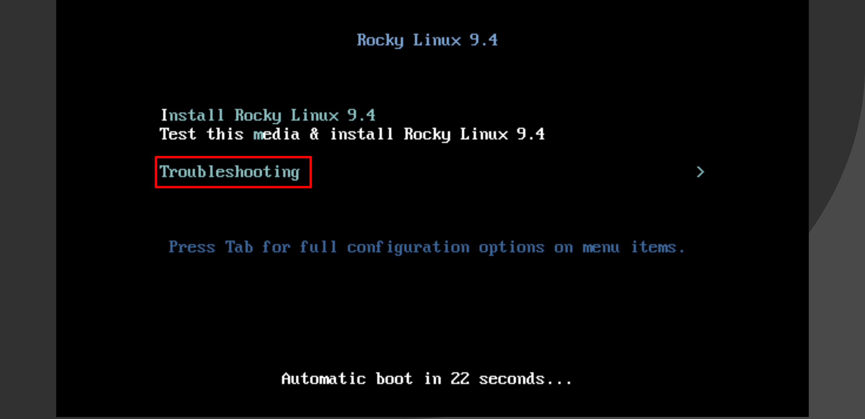 Access node in recovery mode | E2E Cloud
